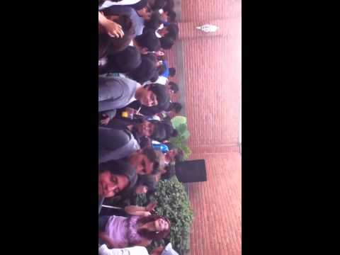pingu y joel bailando jaja