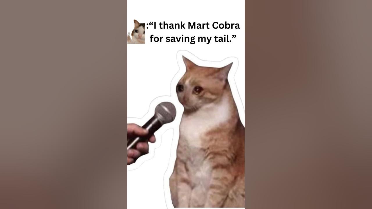 Oven Safety Tips Be Ready With Mart Cobra Fire Blanket YouTube oven-safety-tips-be-ready-with-mart-cobra-fire-blanket-youtube
