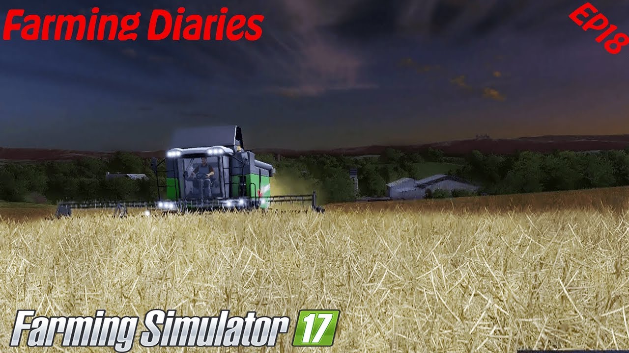 Farming Diaris @ Thornton Farm | Taking a nibble at some OSR | EP18 ...