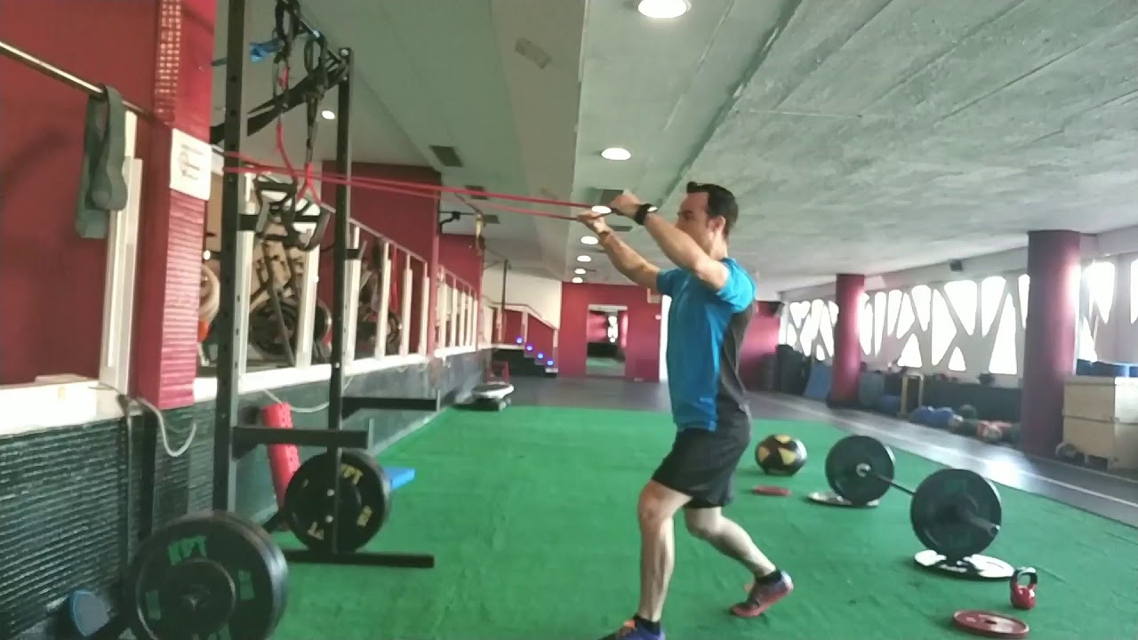 Face pull con banda elástica / Band face pull - YouTube