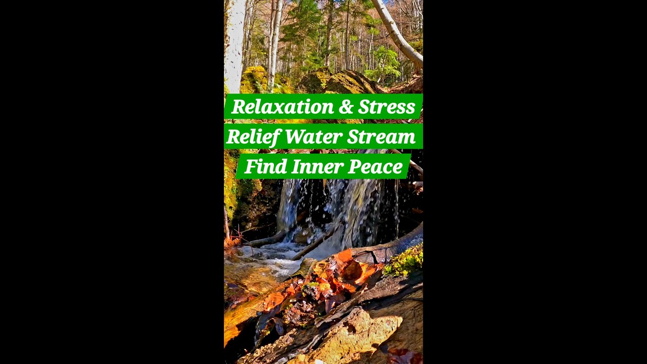 Water Stream Sounds for Stress Relief & Sleep | Nature Ambience | Inner ...