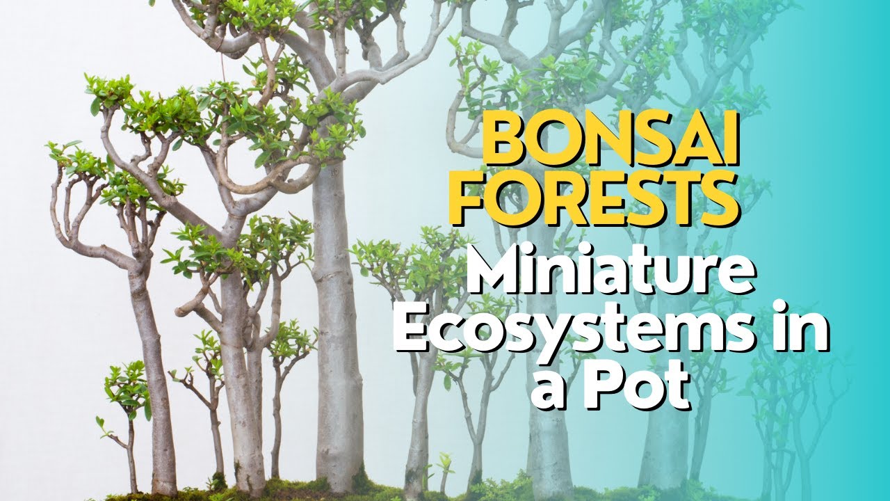 Bonsai Forests: Miniature Ecosystems in a Pot - YouTube