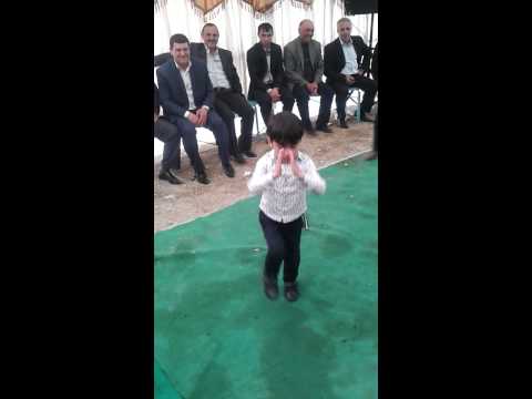 Dagli Ayxan Gilezi 2014