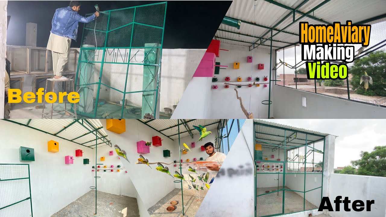 Home Aviary Making Video | Time Lapse | Master Cage | Aviaries | How To ...