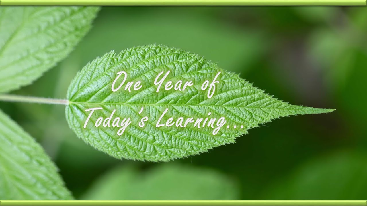365th Day of Today's Learning | One Year of Today's Learning - YouTube