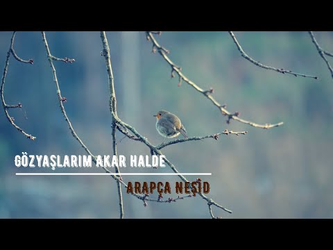 Gözyaşlarım Akar Halde - نغمة الاسترخاء العربية[Türkçe Altyazılı] Arabic Relaxing Tune[HD]
