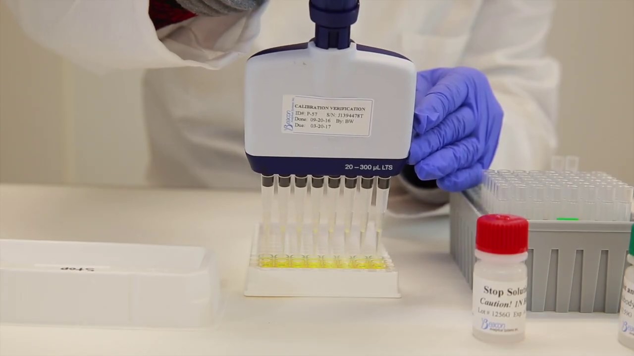 Aflatoxin ELISA Plate Kit - Beacon Analytical Systems Inc. - YouTube
