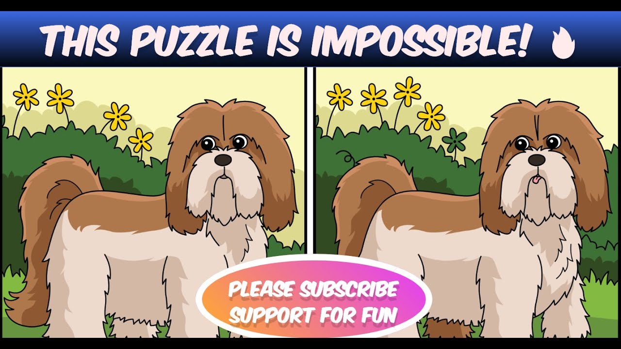 "This Puzzle is IMPOSSIBLE! 🔥 | Can You Spot All 10 Differences?"[ Find ...