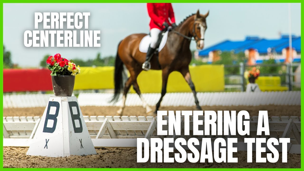 TIP to Get STRAIGHT ON THE CENTERLINE from The Complete Online Dressage ...