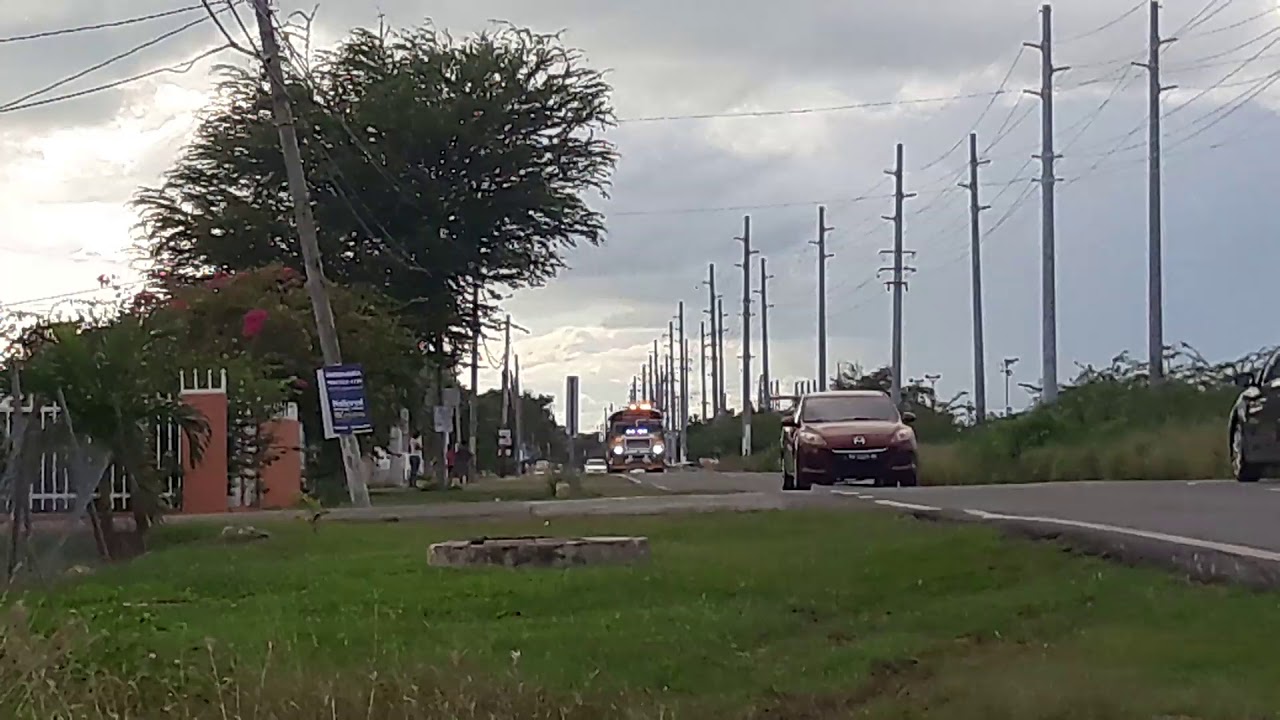 Papo Alvy Inc. 3800 X Thomas Bus - YouTube