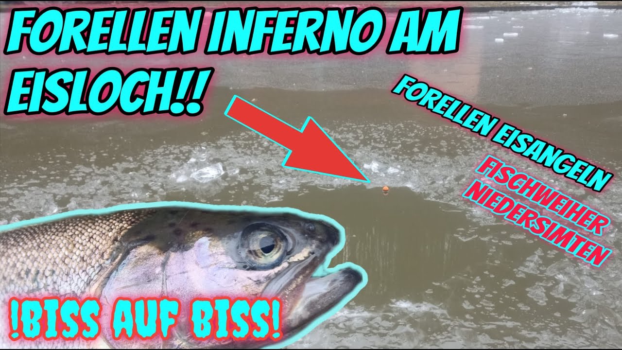 FORELLEN INFERNO am Eisloch!! Forellenangeln im Winter läuft! BISS AUF ...