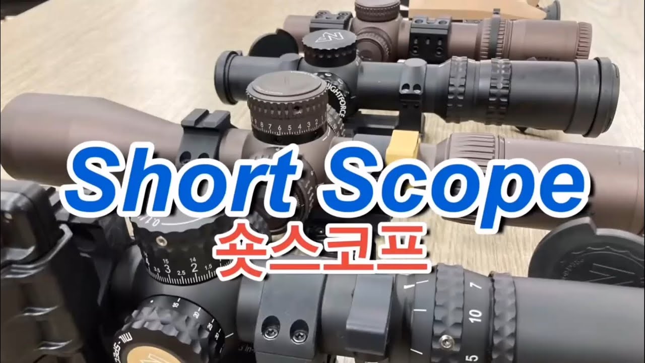 현대전의 필수 전투 조준 장비 숏스코프 “Short Scope or LPVO” ROKshooter의 대한민국 사격 교범 ...