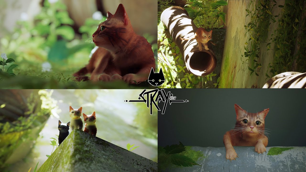 STRAY :INSIDE THE WALL | 4K - YouTube