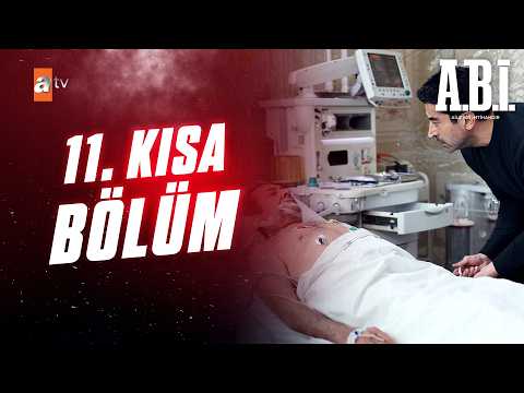 A.B.İ. 11. Kısa Bölüm