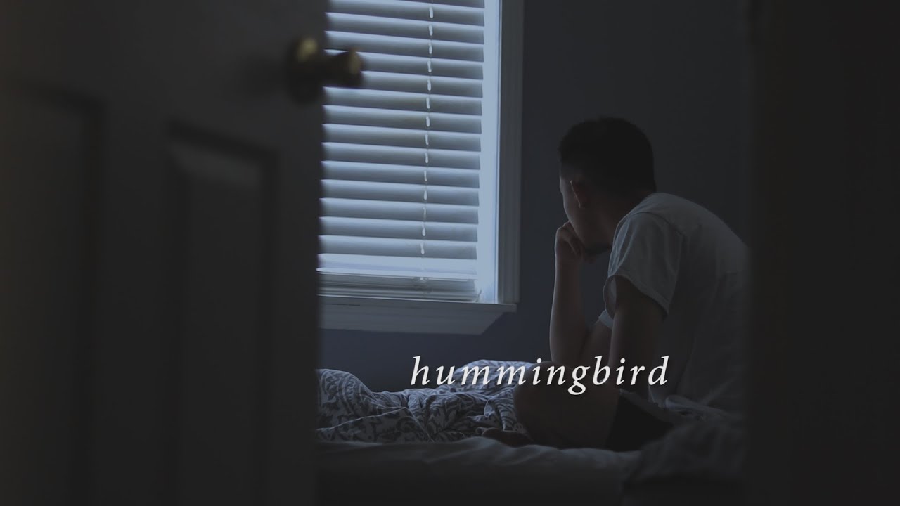 Hummingbird - Short Film - YouTube