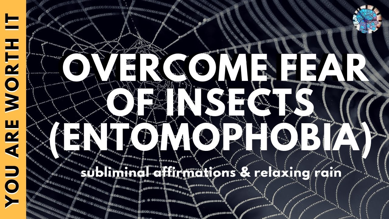 OVERCOME FEAR OF INSECTS (ENTOMOPHOBIA) | Subliminal Affirmations ...