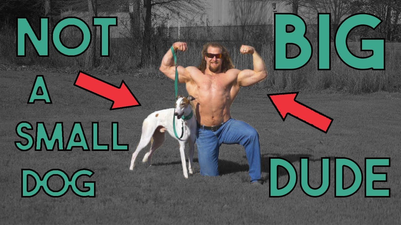 Buff guy adopts buff dog - YouTube