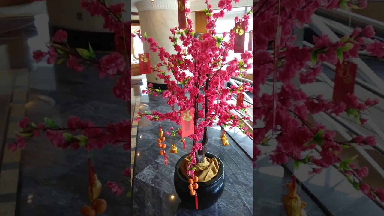 Sakura Tree (Chinese New Year Deco ) - YouTube