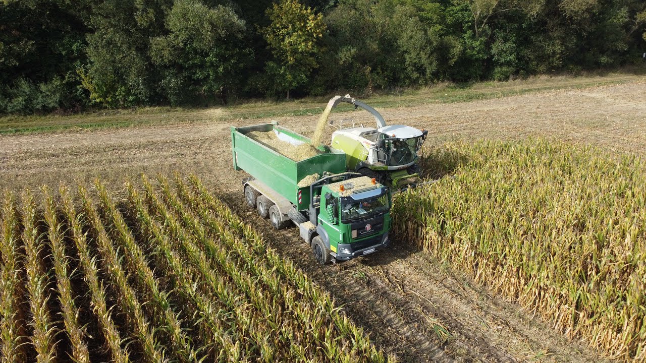 Siláže 2023 - Claas Jaguar 870 ZOPOS Přestavlky a.s - YouTube
