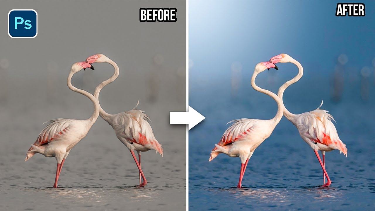 Try the Power of Masking for Smarter Color Grading in Photoshop Camera ...