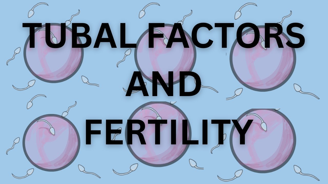 Tubal Factors and Fertility| aqorn learning | @rahat2021 - YouTube