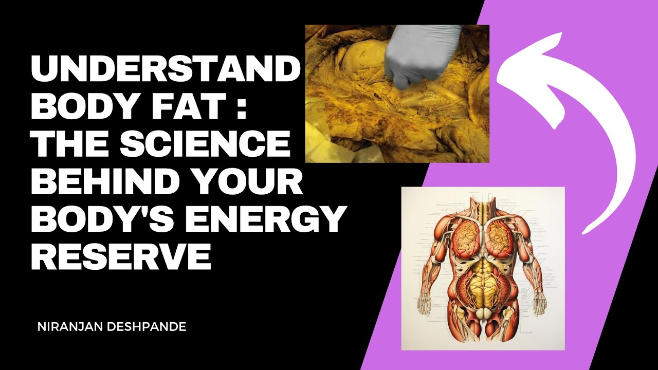 Understanding Body Fat: What It Is and Why It Matters - YouTube
