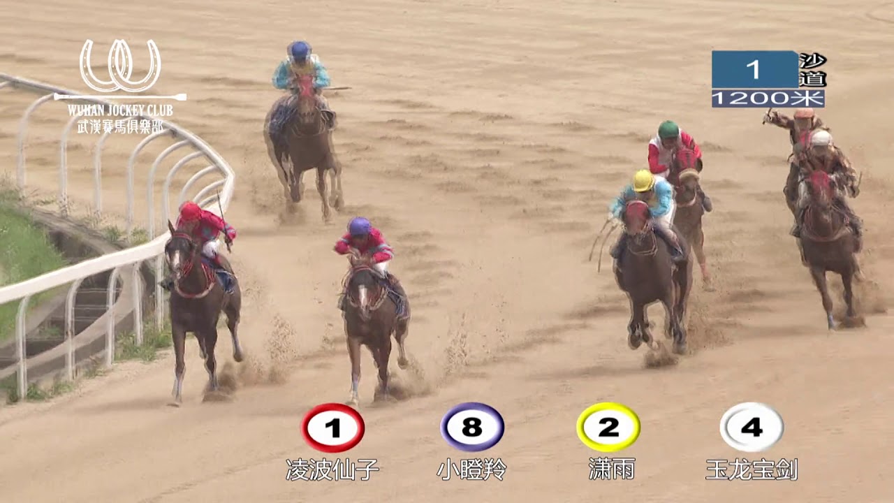 20180421 China-born 3YO 1200m (Race 1) 武汉速度赛马公开赛D5 第1场 三岁马（限中国出生之马匹 ...