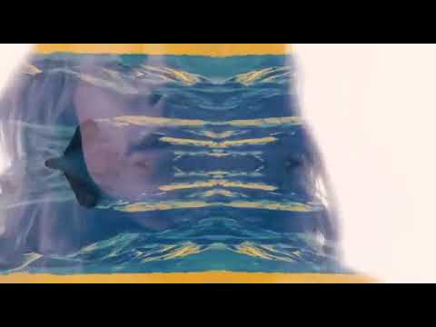 Dj fat cat - YouTube