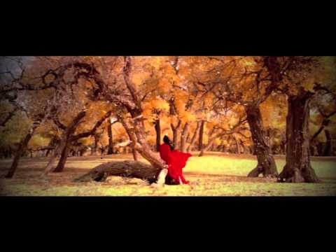 Jet li Hero Tribute