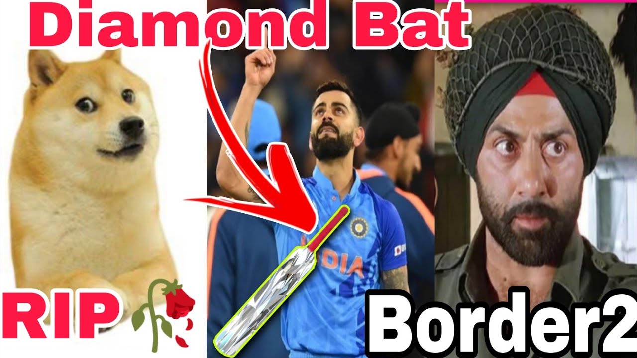 Famous Meme Dog Cheems Died || virat kohli diamond bat|Elvish Yadav ...