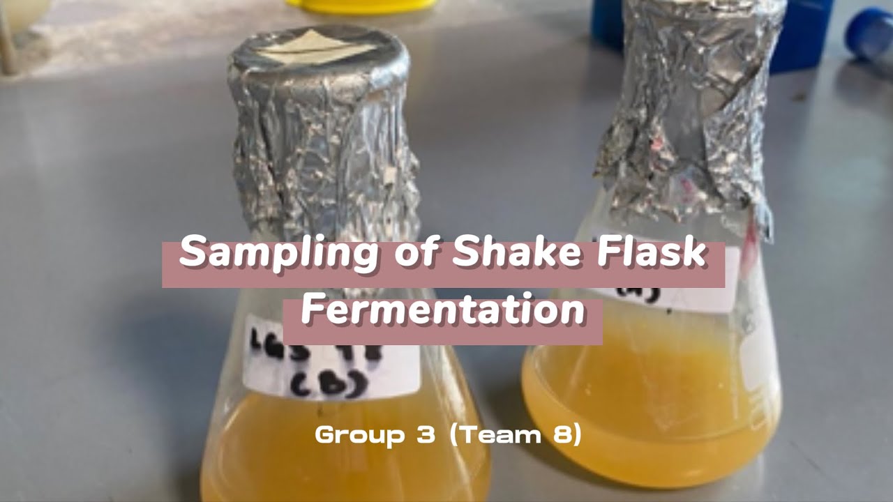 [STB3053] Sampling of Shake Flask Fermentation - YouTube