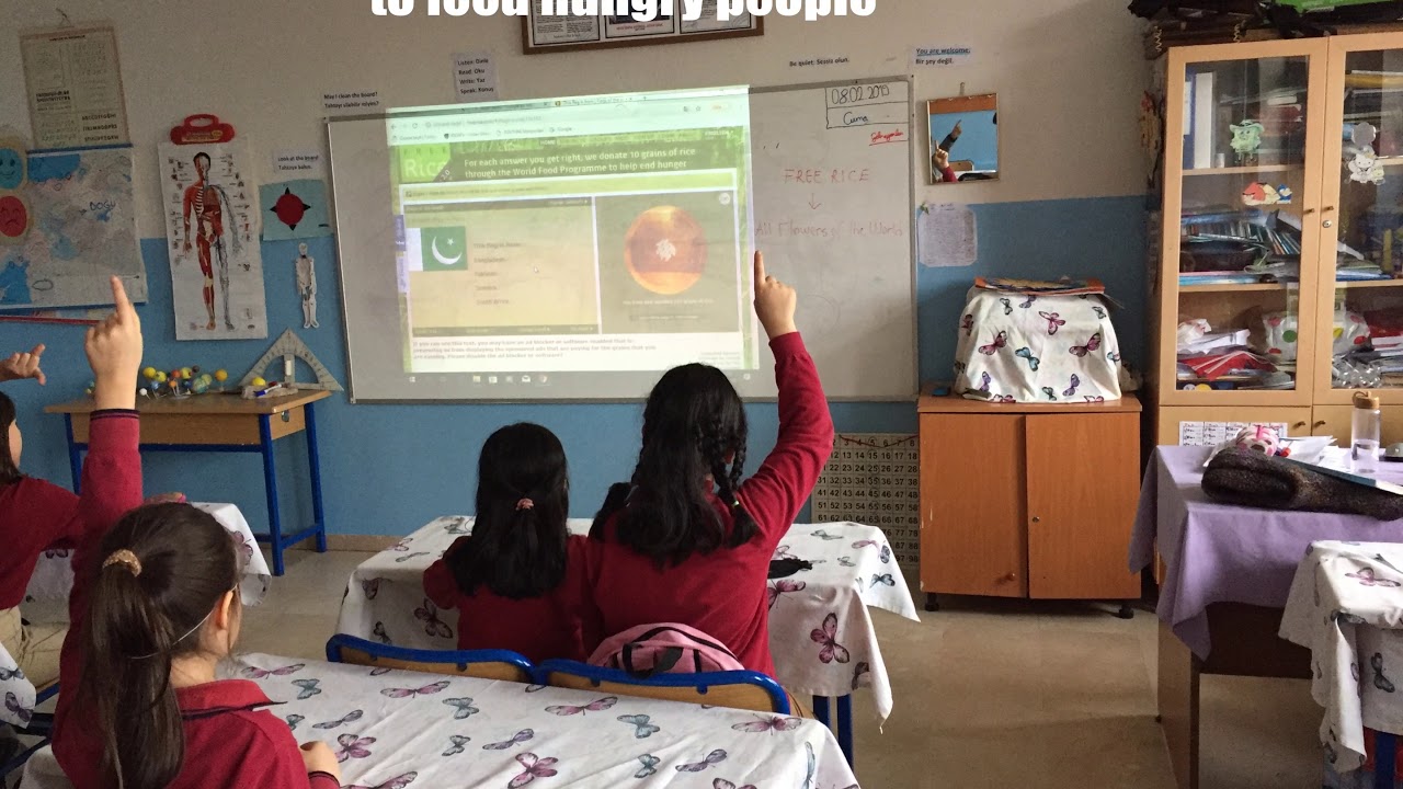 FREE RICE GAME / ALL FLOWERS OF THE WORLD/ GÜLSUYU PRIMARY SCHOOL - YouTube