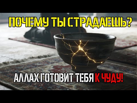 Путь АЛЛАХА к Чуду: Твоя \