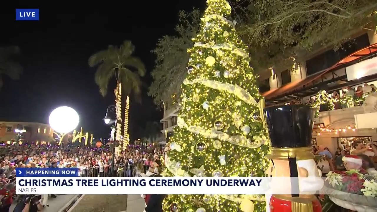 Annual Naples Christmas tree lighting - YouTube