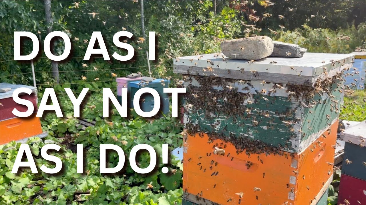 Do as I say not as I do! - YouTube