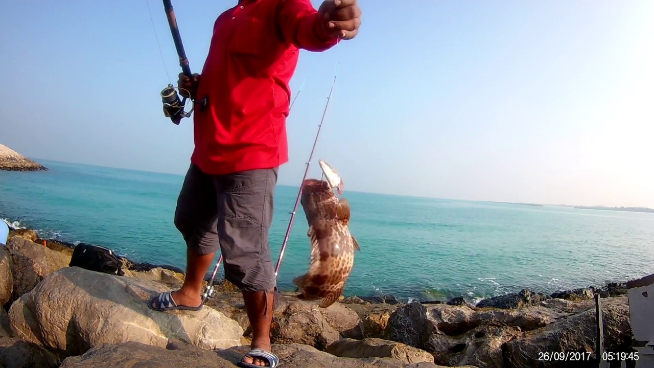 hamour fishing in abu dhabi 2017 - YouTube
