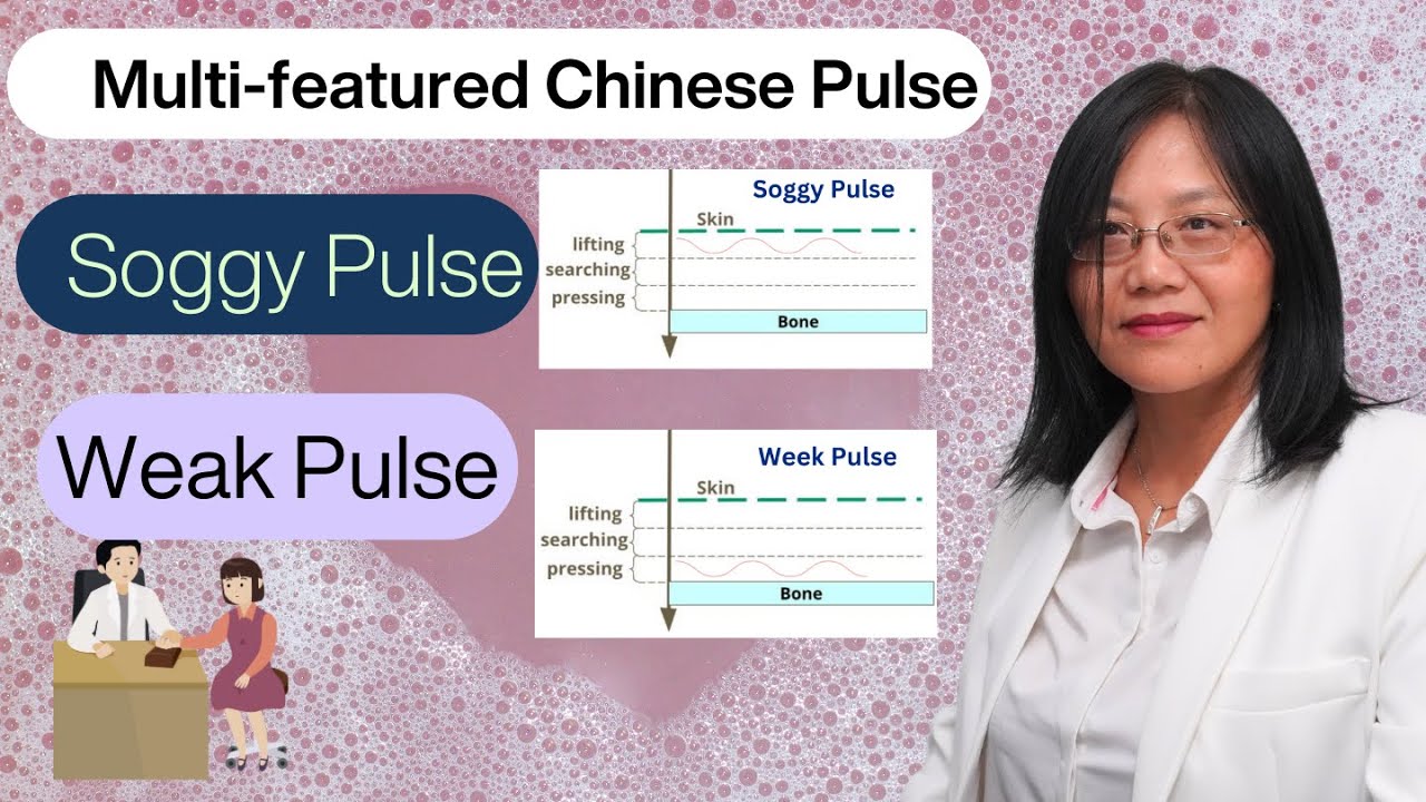 Soggy Pulse and Weak Pulse | Chinese Pulse Diagnosis | Lesson 15 - YouTube