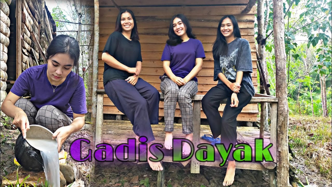 Gadis Dayak || Aktivitas memanen padi ladang di Pondok Hutan - YouTube