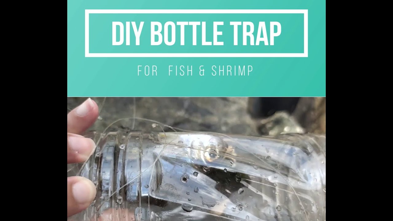 Singapore Fishing - Diy Fish & Shrimp Trap - YouTube