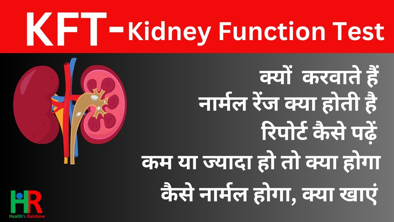 Kidney function test in hindi | KFT test in hindi | किडनी फंक्शन टेस्ट ...