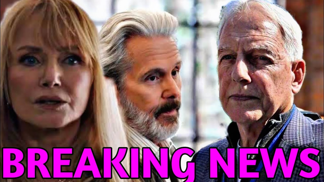 Heartbroken update: Who Is Carla Marino In NCIS Season 22? Alden Parker ...