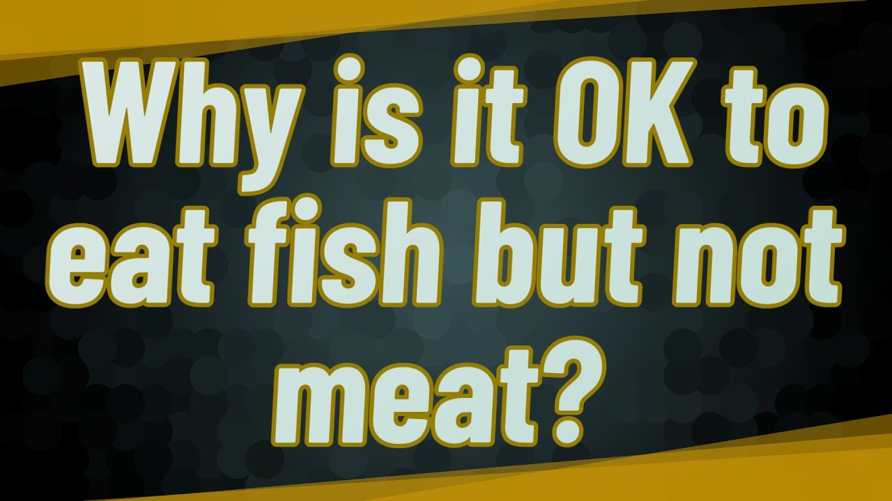 Why is it OK to eat fish but not meat? - YouTube