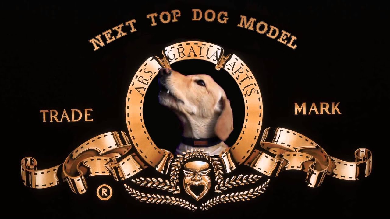 MGM LOGO NTDM version 3 - YouTube