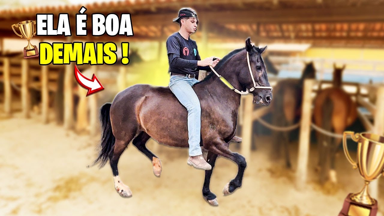 MONTANDO em UMA ÉGUA PREMIADA NA NACIONAL ! - YouTube