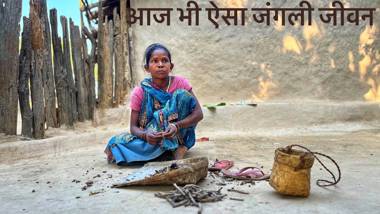 पहाड़ी कोरवा जनजाति का मंत्रमुग्ध कर देने वाला गाँव।Forest life of ...