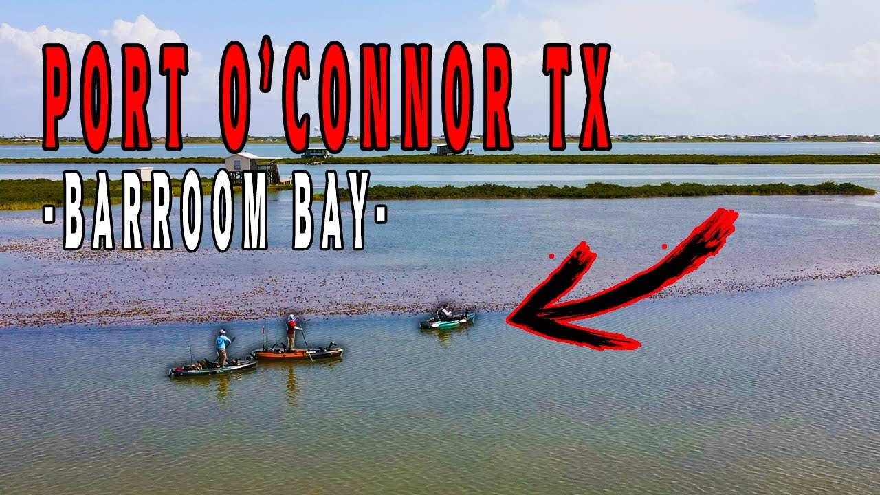 UNBELIEVABLE Barroom Bay: Texas Fishing Travels - YouTube