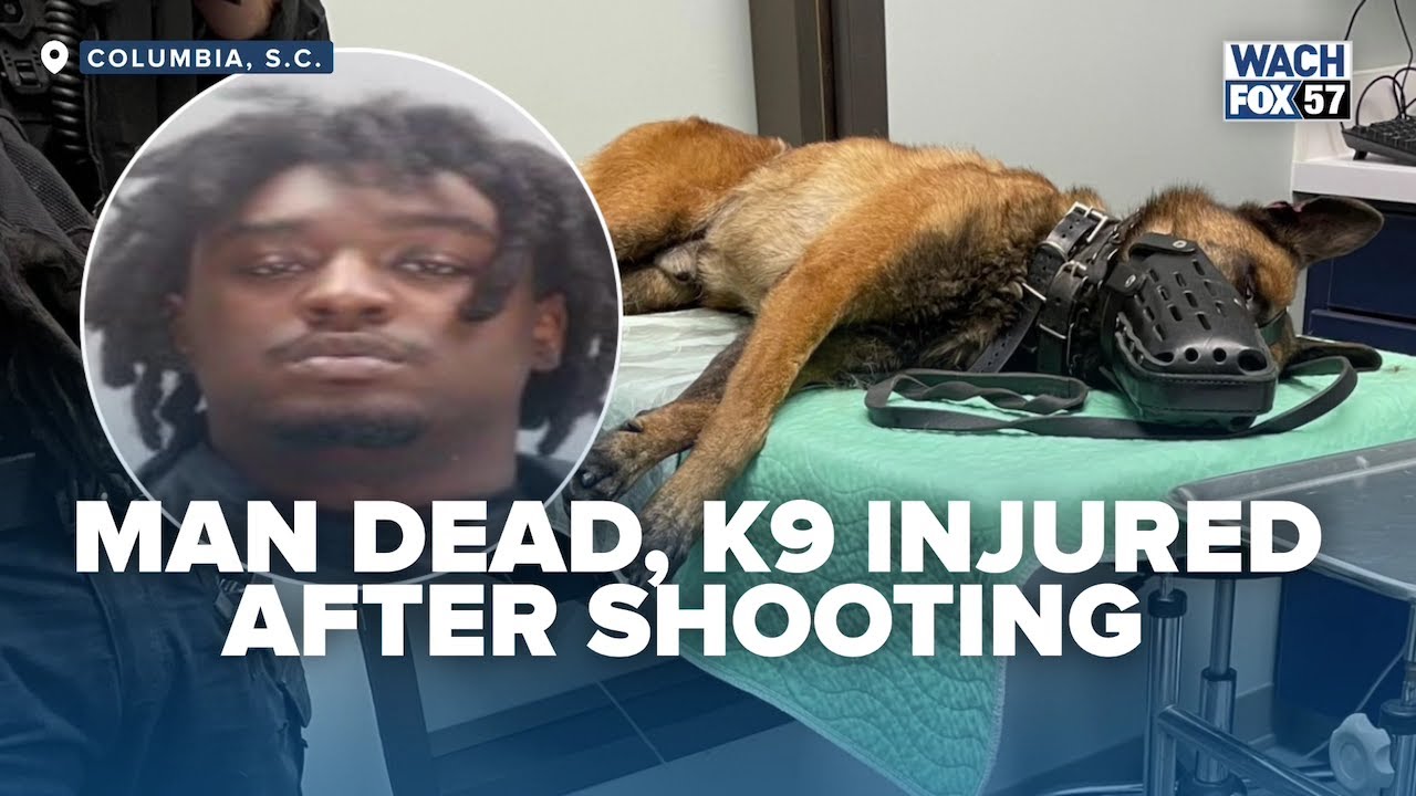 Man Dead, K9 Injured After Deputy-Involved Shooting - YouTube