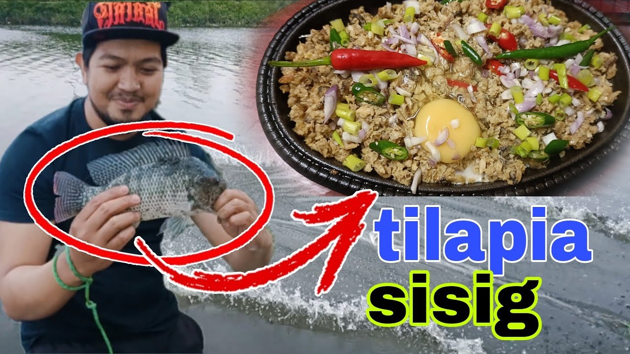 catch and cook:sisig tilapia.inabot na kami ng dilim para sa pang ulam ...