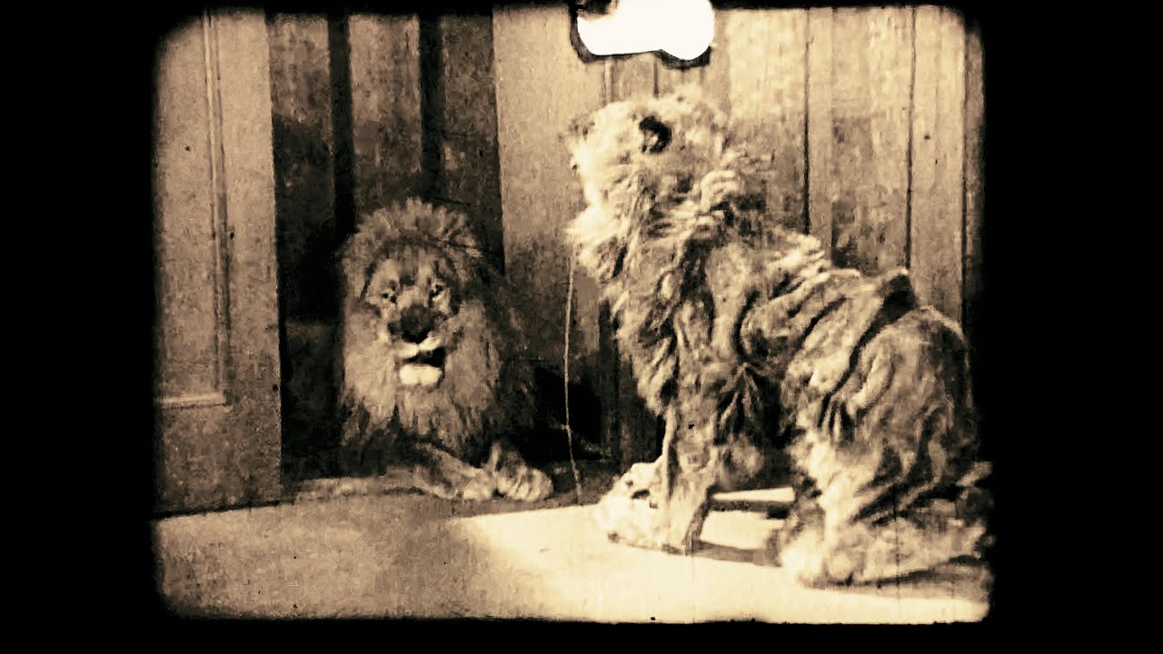 A Lyin Tamer 1920s comedy film - YouTube