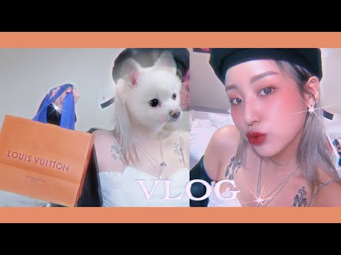 선물 주러 갔다가 개 4마리와 함께한 하루 🤶🏻+🎁=🐶x4️⃣